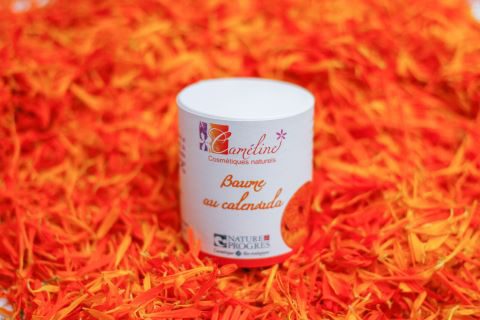 Offrez un atelier de fabrication d’un baume aux plantes pour Noël ...